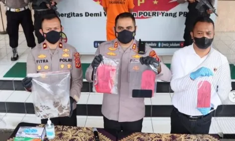 Kronologi Kasus Pencabulan Anak di Sukabumi Terungkap, Ini Modus Pelaku Saat Menculik Korban ...