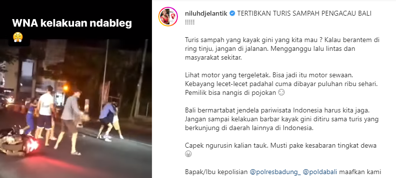 Viral Bule Tawuran di Tengah Jalan Kuta Bali, Politisi Niluh Djelantik Beri Tanggapan Menarik ...
