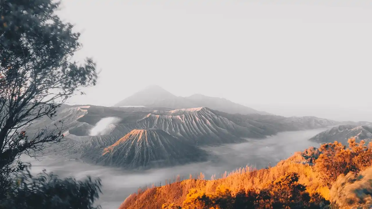 Ulang Tahun Jawa Timur 2022, Berikut Sejarah Hari Jadi Jawa Timur dan ...