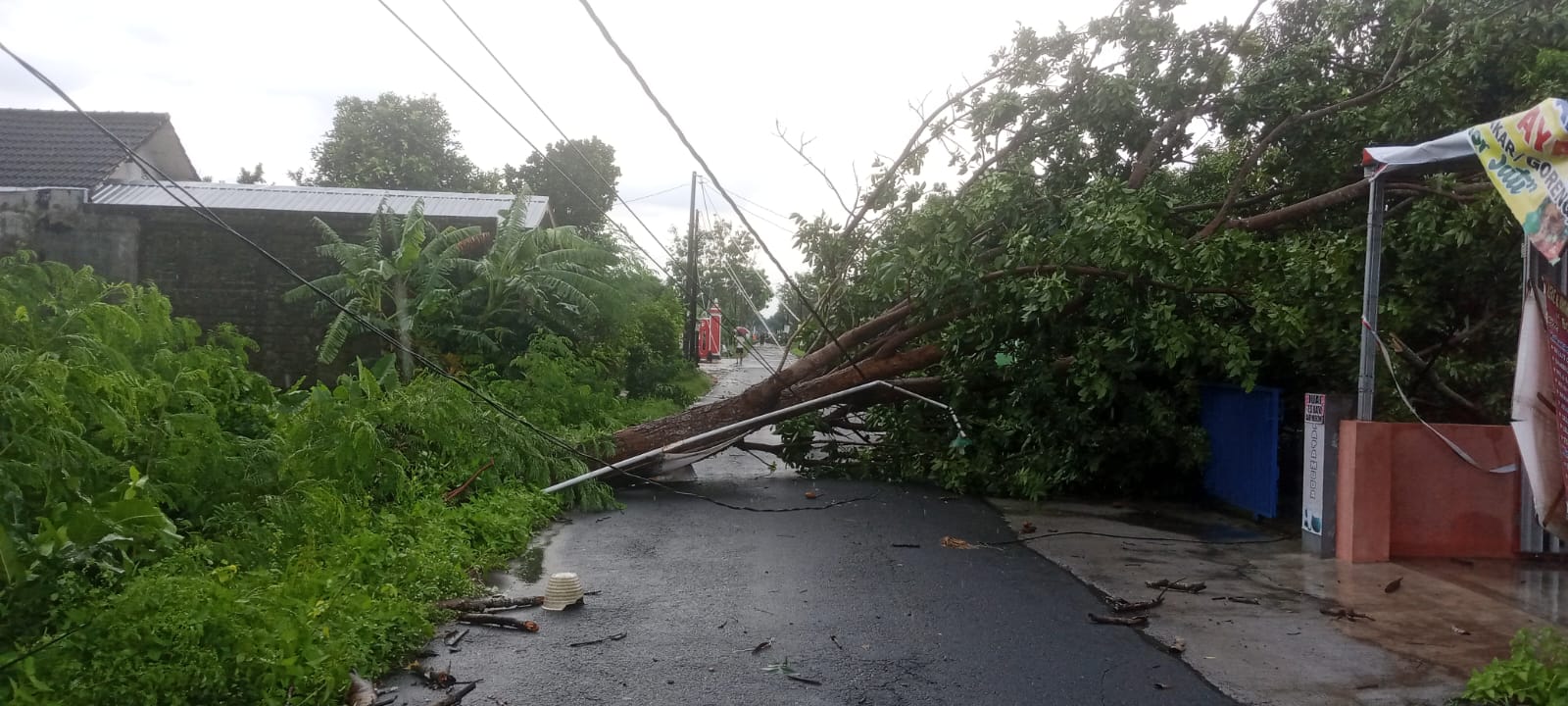 Puluhan Rumah Rusak Akibat Hujan Lebat dan Angin Kencang di Sleman, 1 Orang Meninggal Dunia ...