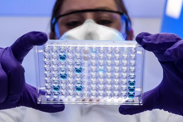Virus Nipah di Indonesia Belum Terdeteksi, Kemenkes Minta Faskes ... Virus Nipah di Indonesia Belum Terdeteksi, Kemenkes Minta Faskes ...