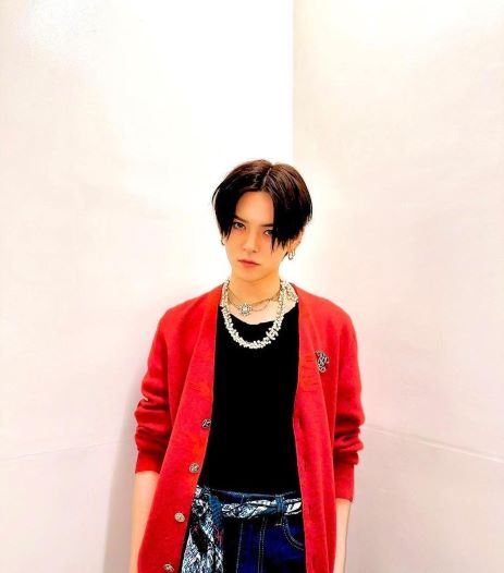 Yoshi Treasure Ulang Tahun, Penggemar Adopsi Harimau Atas Namanya ...